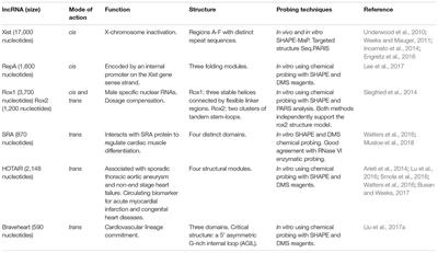 Frontiers | Long Non-coding RNA Structure and Function: Is There a Link?
